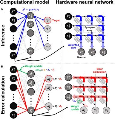 Frontiers | Neural Network Training Acceleration With RRAM-Based Hybrid Synapses